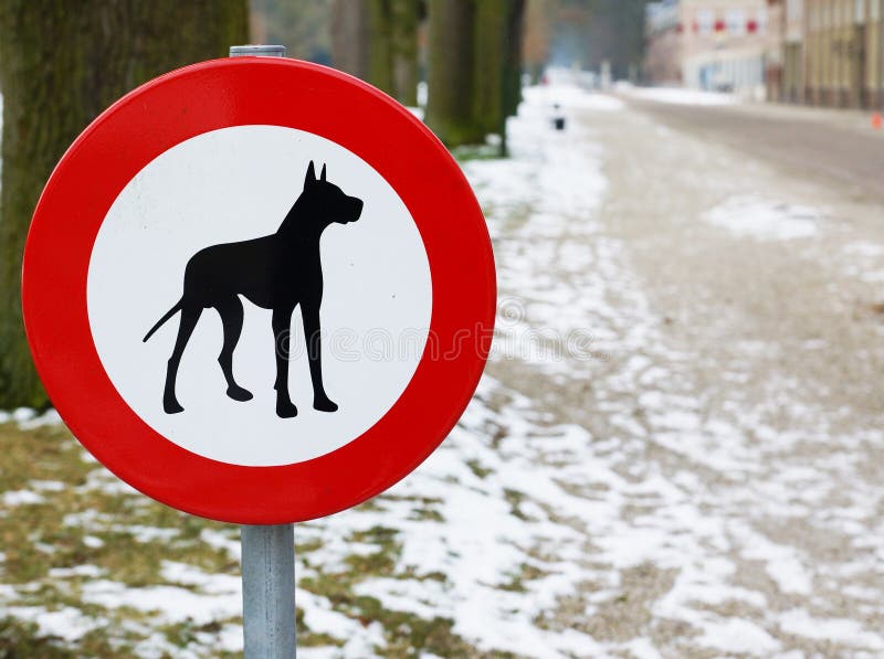 Selective Focus Shot of a Dog Sign Warning in a Street Stock Image ...