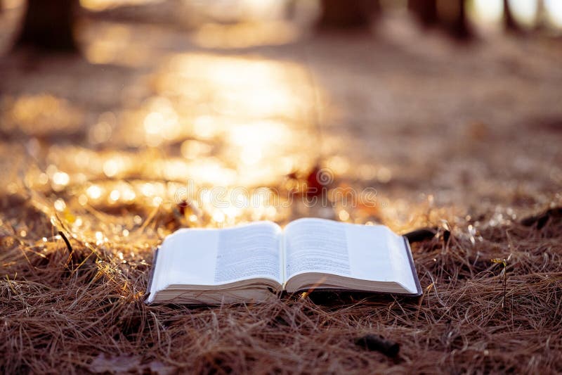 Selective Focus Shot Of An Open Book On The Ground Stock Photo - Image ...