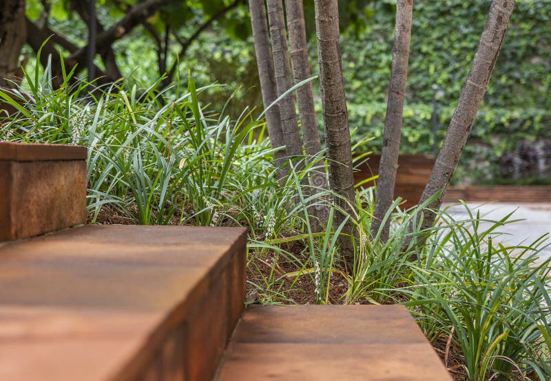 Selective Focus Shot of Plants Growing by the Wooden Stairs Stock Photo ...