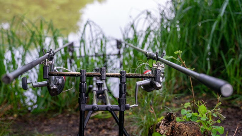 Selective Focus Shot of a Rod Pod Stock Photo - Image of recreation ...