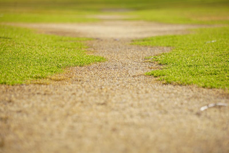 Selective Focus Shot of Sandy Pathway with Grass from the Sides Stock ...