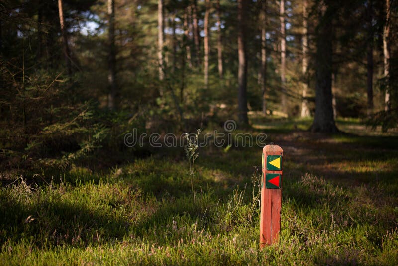 Selective Focus Shot of a Sign in the Middle of a Green Forest Showing ...