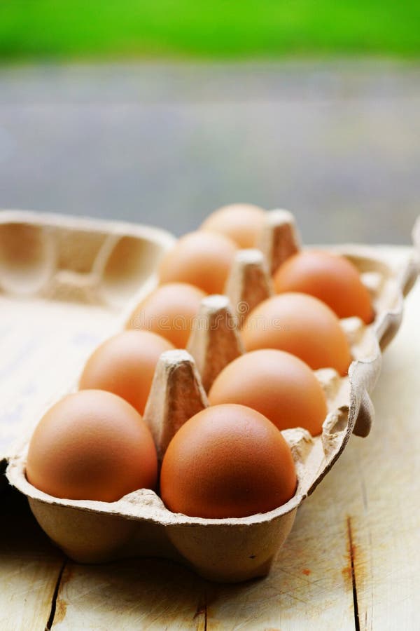 Selective Focus Shot of Some Fresh Eggs in a Box Stock Photo - Image of ...