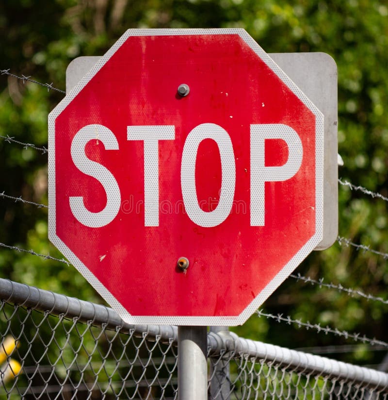 Selective Focus Shot of a Stop Sign in Front of a Forest Entrance Stock ...