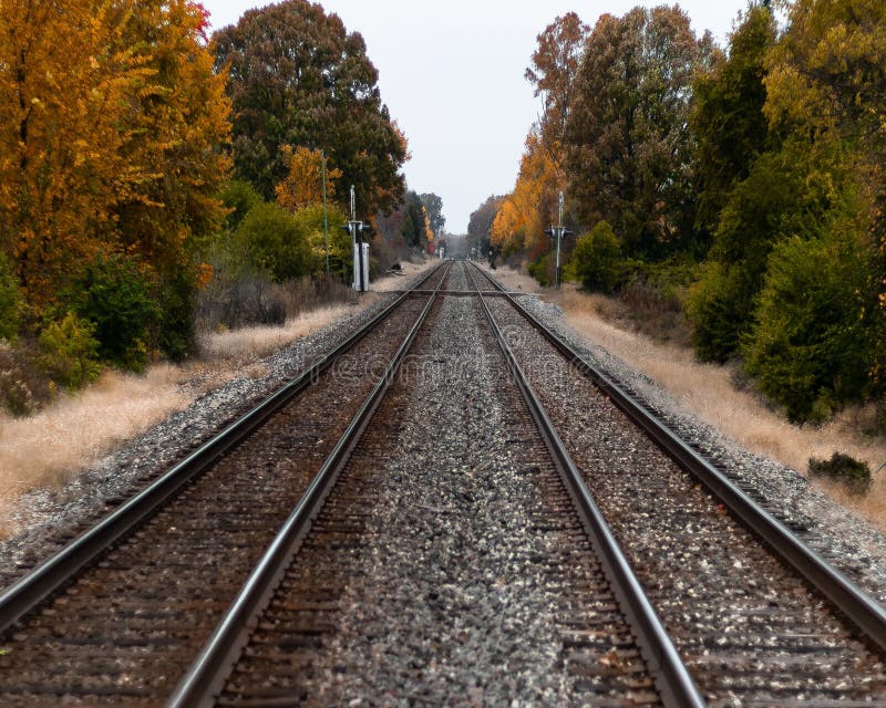 Selective Focus Shot of Train Tracks in the Middle of Green and Yellow ...