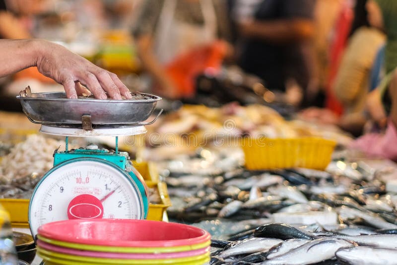 Selective Focus Shot of a Weight Scale at a Fish Market Stock Photo ...