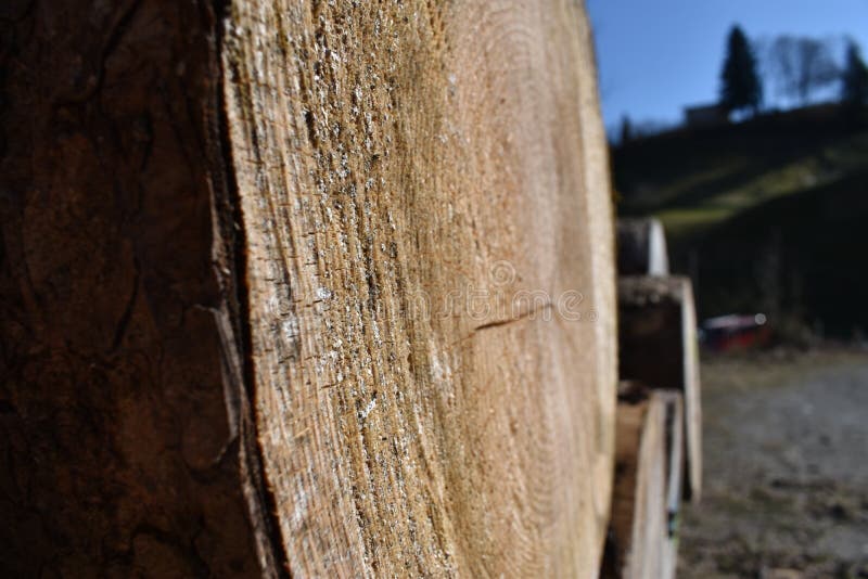 Selective Focus Shot of Wood Texture Stock Photo - Image of retro ...