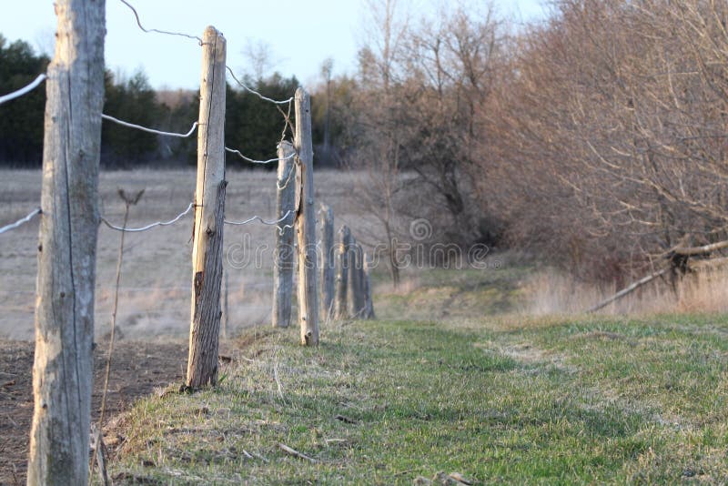 Selective Focus Shot of Wooden Posts and Wire Fence on a Farm Stock ...