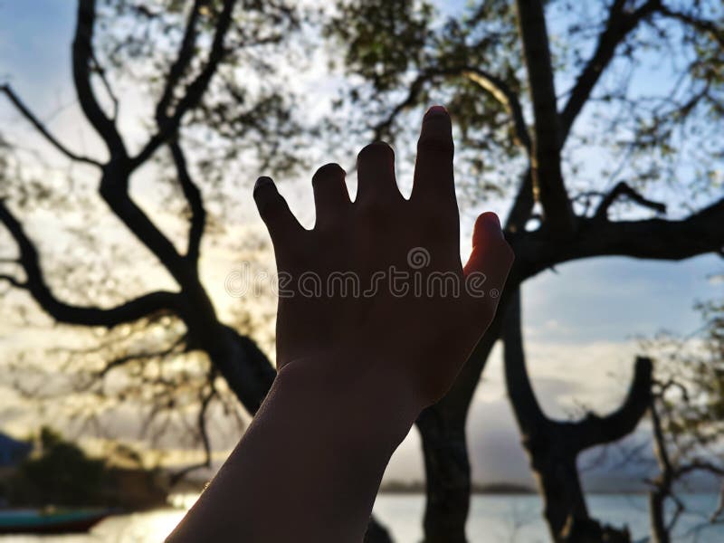 Selective Focus and Silhouette of a Man S Left Hand Reaching Out for ...