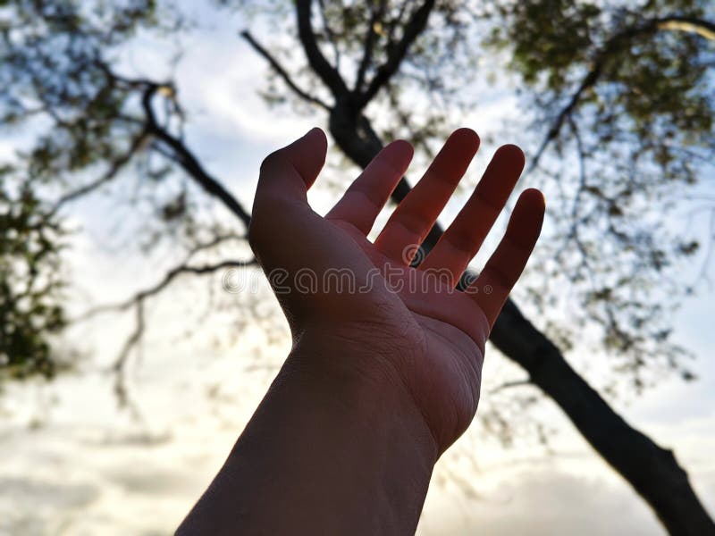 Selective Focus and Silhouette of a Man S Left Hand Reaching Out for ...