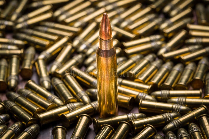 Selective Focus on a Single 223 Caliber Bullet Stock Photo - Image of ...