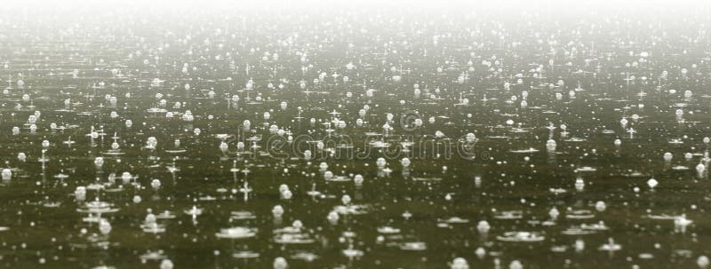 Selective Focus Strong Rain with Bubbles on the Green Forest Lake Stock ...