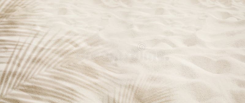 Selective Focus of Summer and Holiday Backgrounds Concepts with Shadow ...