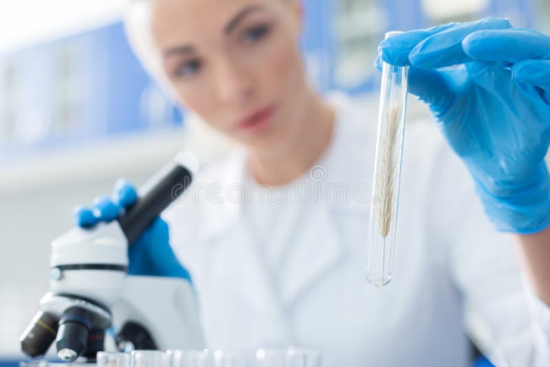 Selective Focus of a Test Tube with Cone in it Stock Image - Image of ...