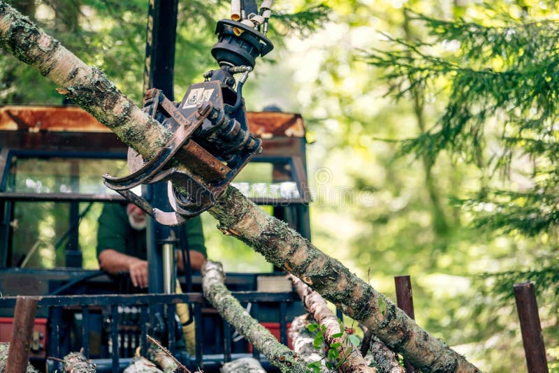 Selective Focus of a Timber Lorry Crane Holding a Wooden Log in a ...
