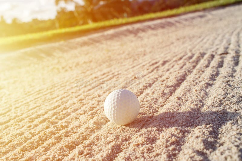 Selective Focus White Golf Ball on the Sand Bunker with Green Field ...
