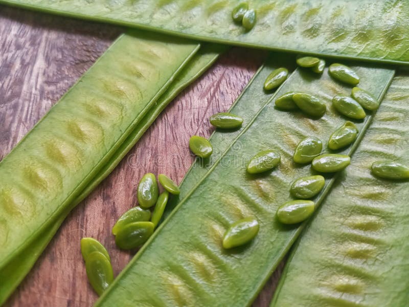 Selective Focus of Young Bitter Beans or Parkia Speciosa on Wooden ...