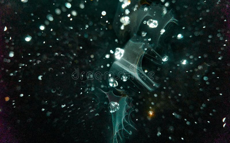 Selective of Raindrops Falling Down at Night Stock Image - Image of ...