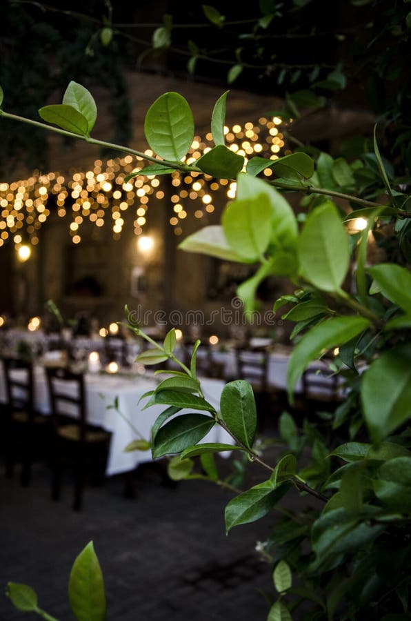 4,070 Wallpaper String Light Background Stock Photos - Free & Royalty ...