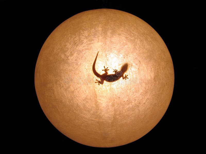 Selective Shot of a Lizard on a Lighted Ball on a Black Background ...