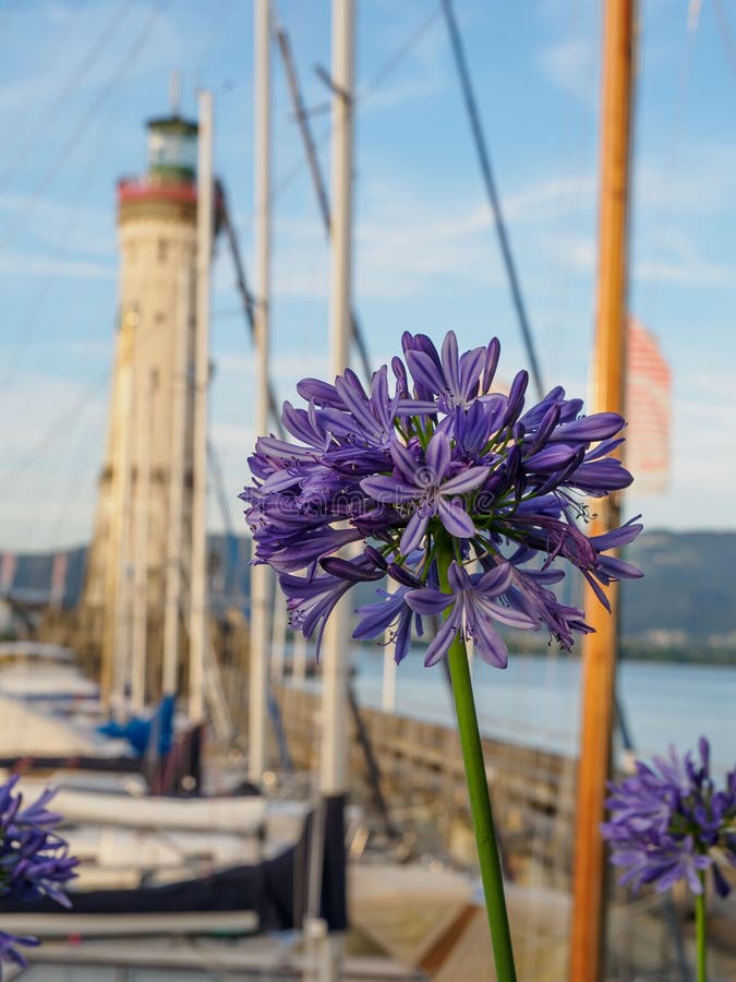 Lindau Lighthouse stock image. Image of harbour, germany - 9126025