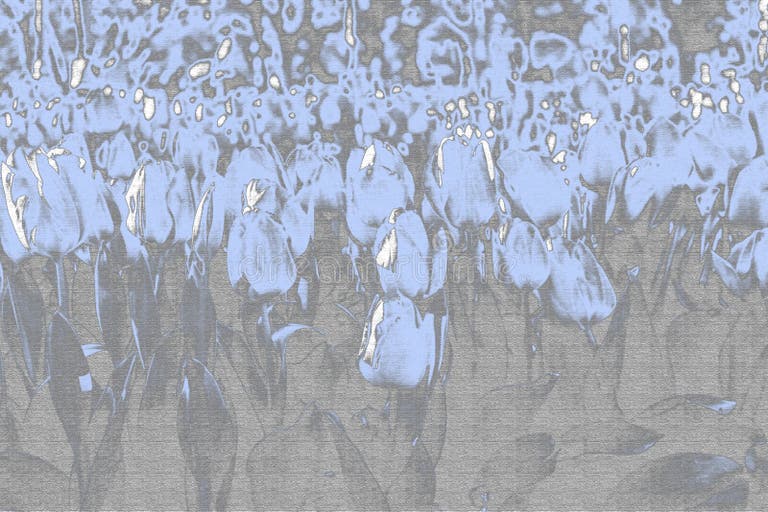 Selective View Stock Illustrations – 27,020 Selective View Stock ...