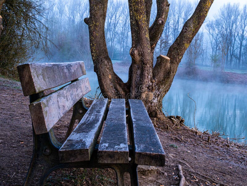 Selective Wooden Bench Near Lake Stock Photos - Free & Royalty-Free ...