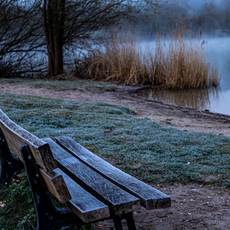 Selective of a Wooden Bench Near the Lake Stock Photo - Image of bare ...