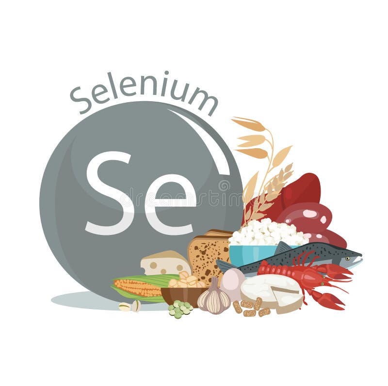 Food sources of selenium stock illustration. Illustration of cartoon ...