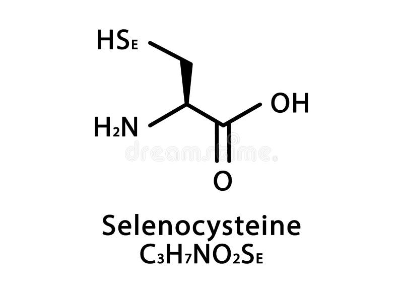 Selenol Group Stock Illustrations – 2 Selenol Group Stock Illustrations ...