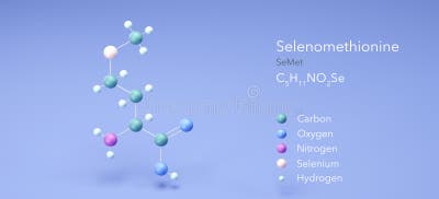 Selenomethionine Molecule, Molecular Structures, Semet, 3d Model ...