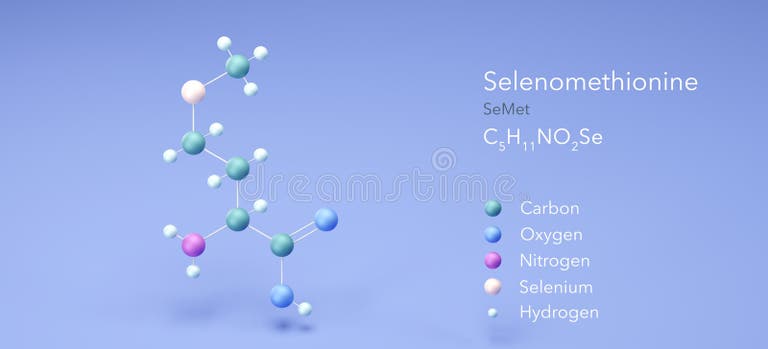 Selenomethionine Molecule, Molecular Structures, Semet, 3d Model ...