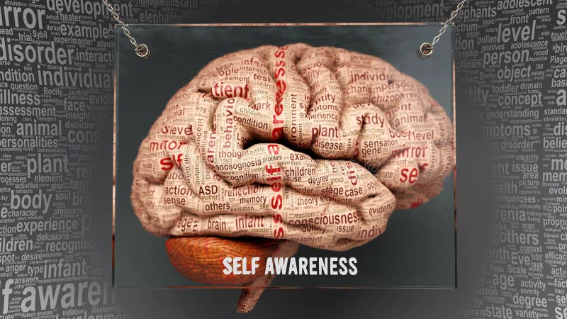 Self Awareness in Human Brain Stock Illustration - Illustration of ...