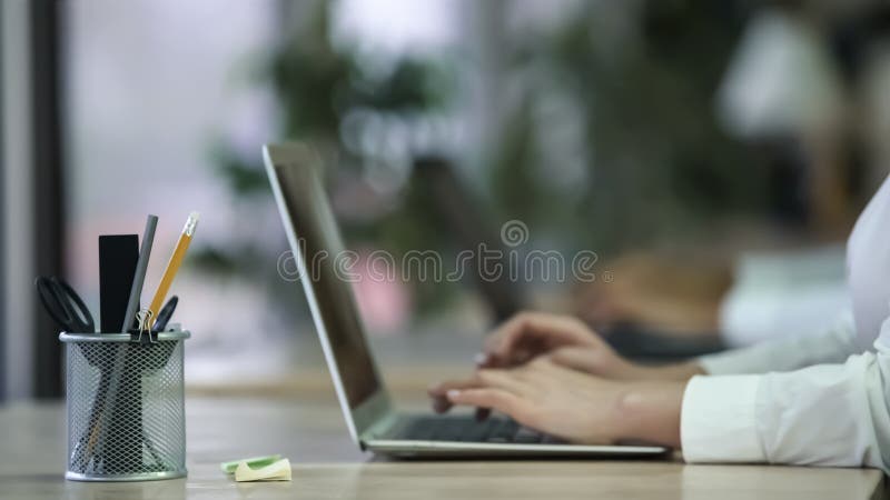 Self-confident Successful Young Lady Working on Project, Using Laptop ...