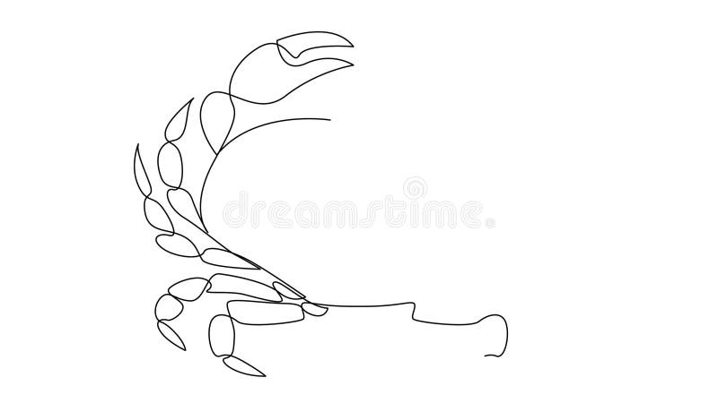 Self Drawing Animation of Continuous Line Crab. Drawing by Hand, Black ...