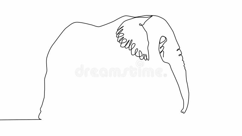 Self Drawing Animation of Continuous One Line Drawing of Isolated ...