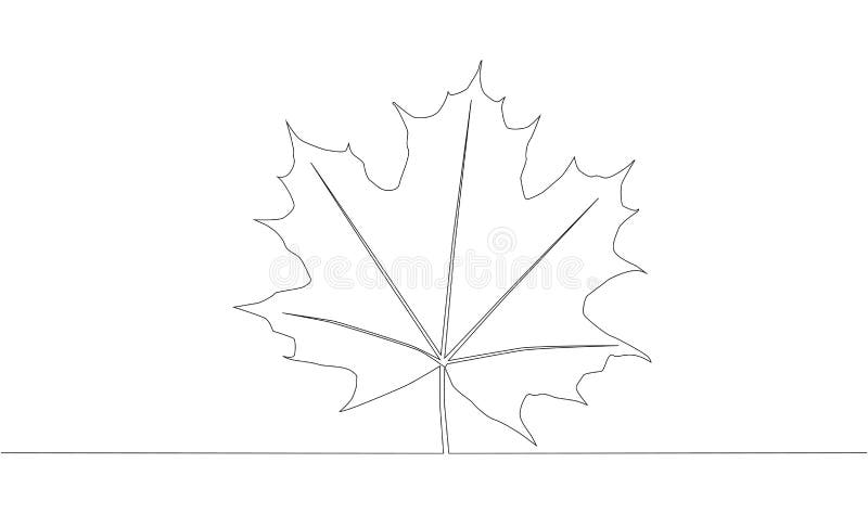 Self Drawing Animation of One Line Drawing of Isolated Object Maple ...