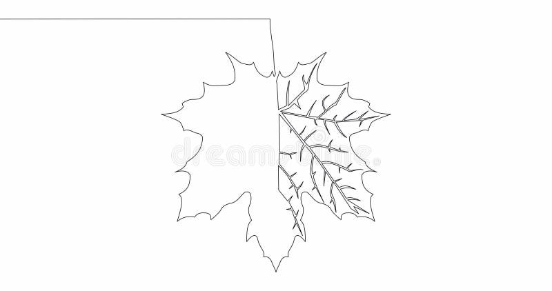 Self Drawing Line Animation Maple Leaf Autumn Theme Continuous Line ...
