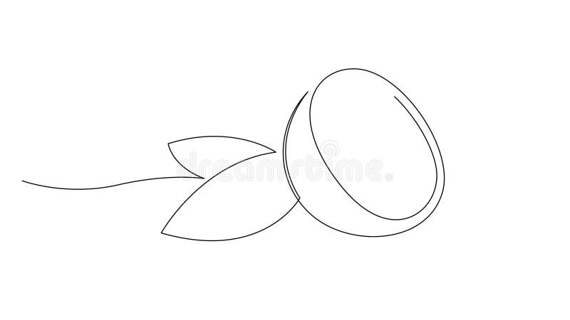 Self Drawing Simple Animation of One Line Drawing of Citrus Fruit with ...