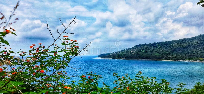 Self healing at the beach stock photo. Image of coast - 278407130