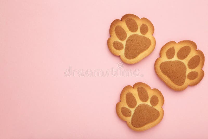 Self Made Cat Paw Cookies on Pink Background Stock Image - Image of ...