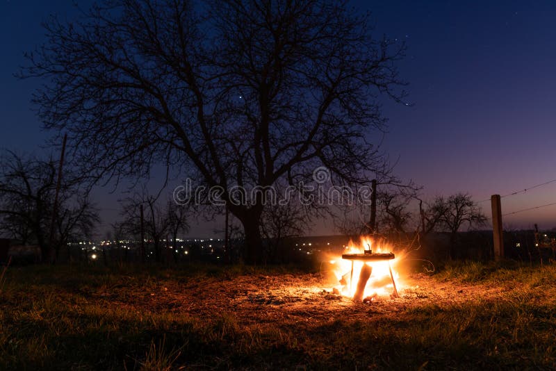 Self-made Fire in the Backyard for Barbecue, Big Tree, Amazing ...