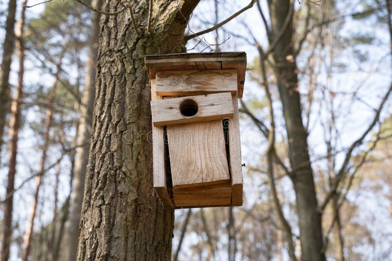 Wooden Bird House on the Tree Stock Image - Image of build, animal ...