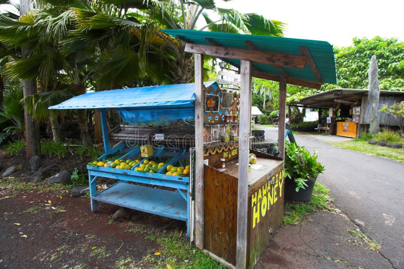 Self-serve Honey and Fruit Stand Stock Image - Image of tree, road ...