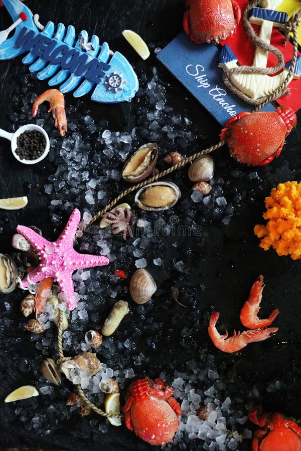 Self Service Seafood Starfish Editorial Image - Image of shell, service ...