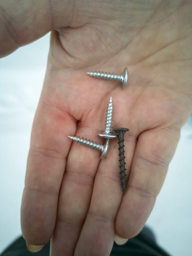 Self-tapping Screws of White and Black Color on the Hand Stock Image ...
