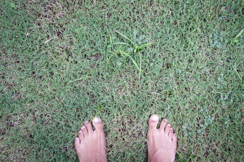 Self View of Feet on Green Grass Stock Image - Image of feet, green ...