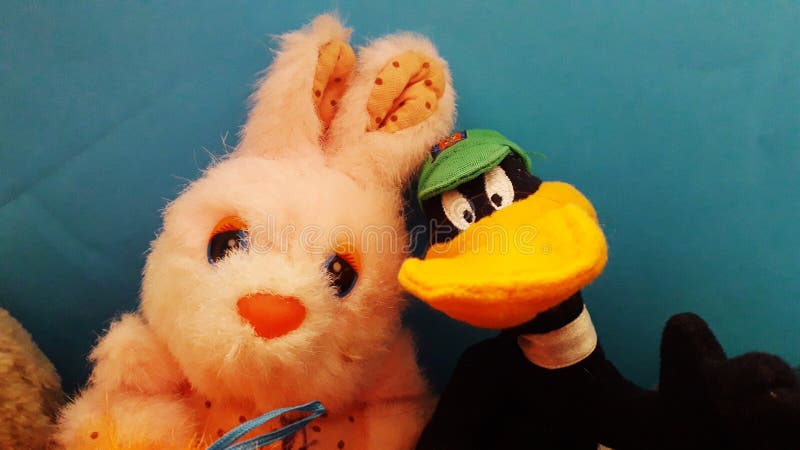 Selfie rabbit and duck stock photo. Image of nose, animal - 191341342