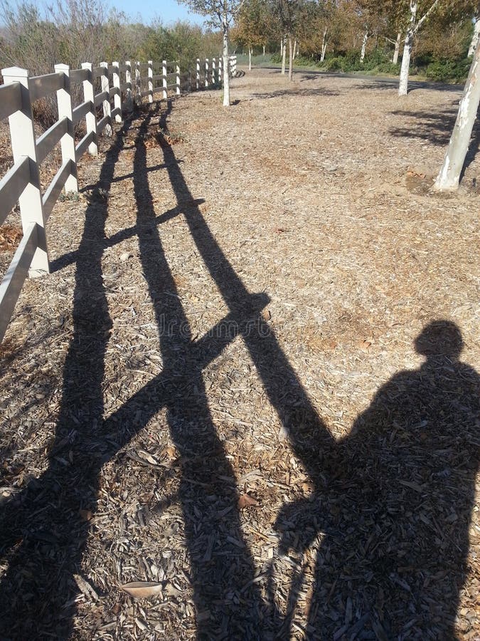 Walking man shadow stock image. Image of walking, stranger - 24537189 Walking man shadow stock image. Image of walking, stranger - 24537189