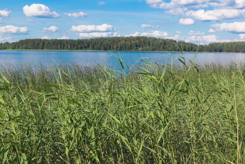 Seliger in the summer. stock photo. Image of silence - 25978858